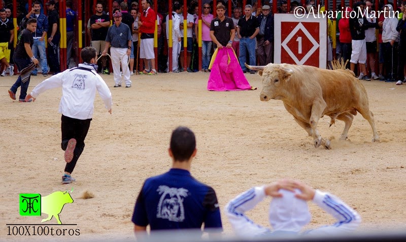 100x100 Toros: Segundo encierro de Arganda del Rey desde el objetivo de ...
