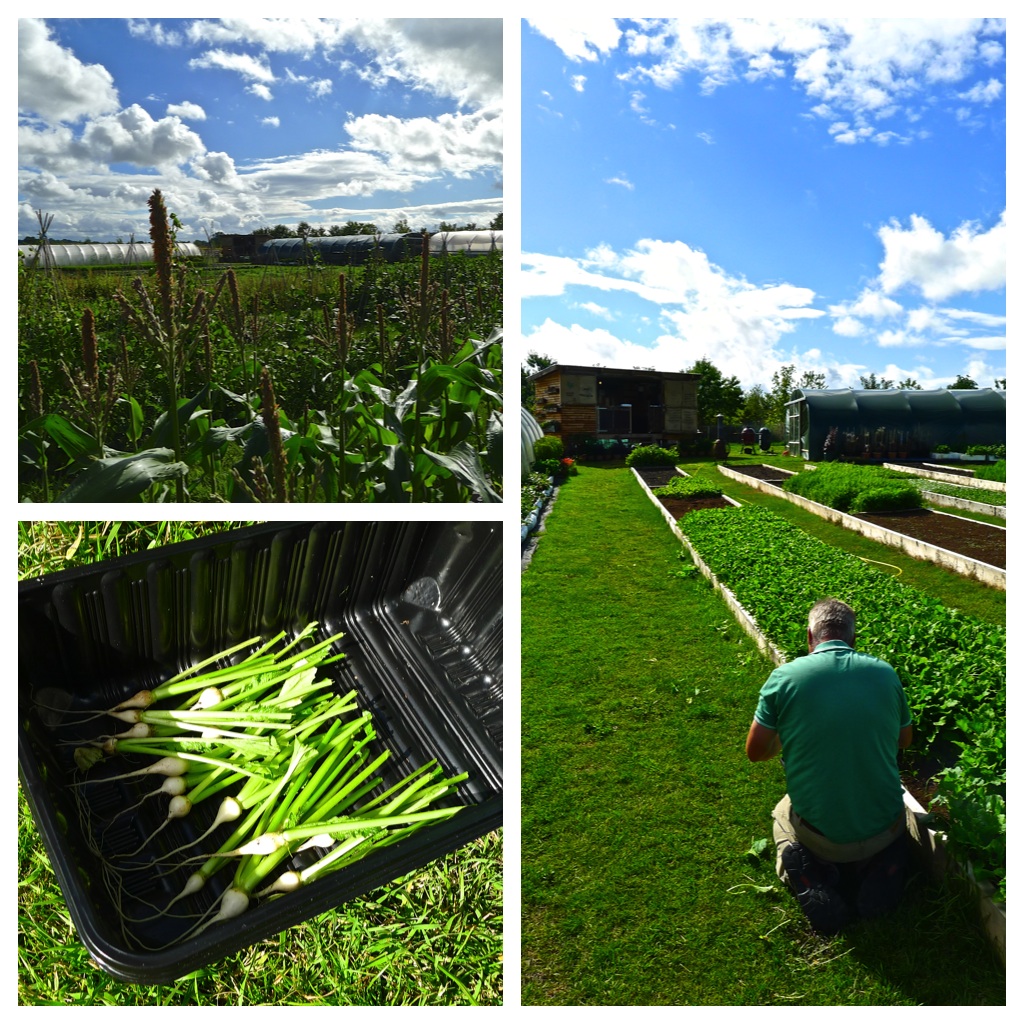 HUNGRY HOSS: The Raby Hunt at the #ChefsPod, Vallum Farm