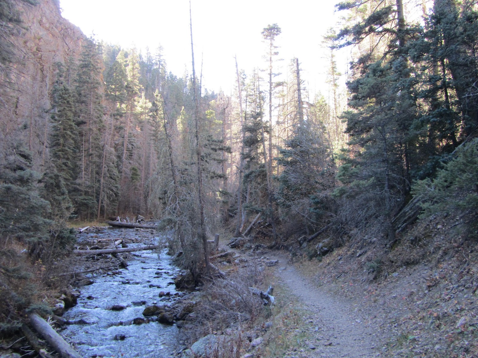 Tomcat's Outdoor Adventures: Backpacking New Mexico's Pecos Wilderness
