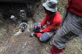 Arcopodo Legenda Semeru Tetap Milik Semeru - PLH Indonesia