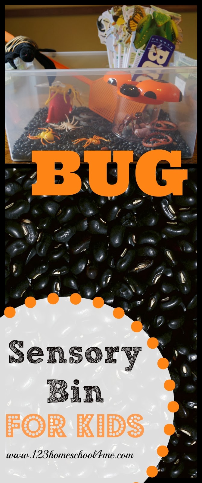 Bug Sensory Bin Indoor Outdoor bug-sensory-bin-indoor-outdoor