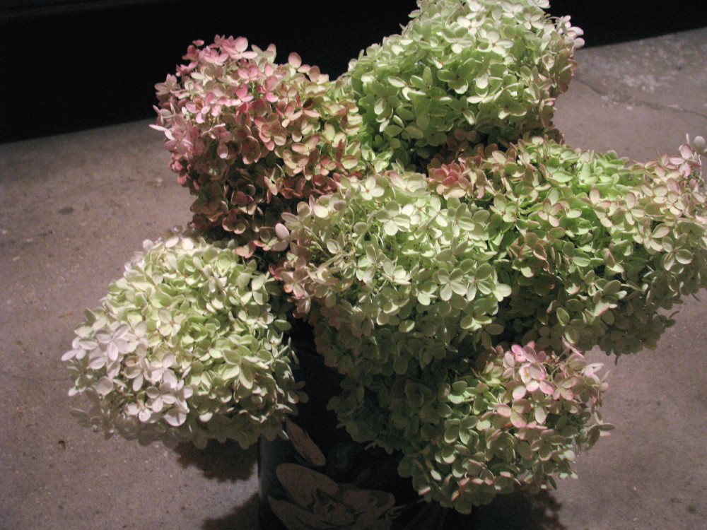 Exuberant Color : September 2011