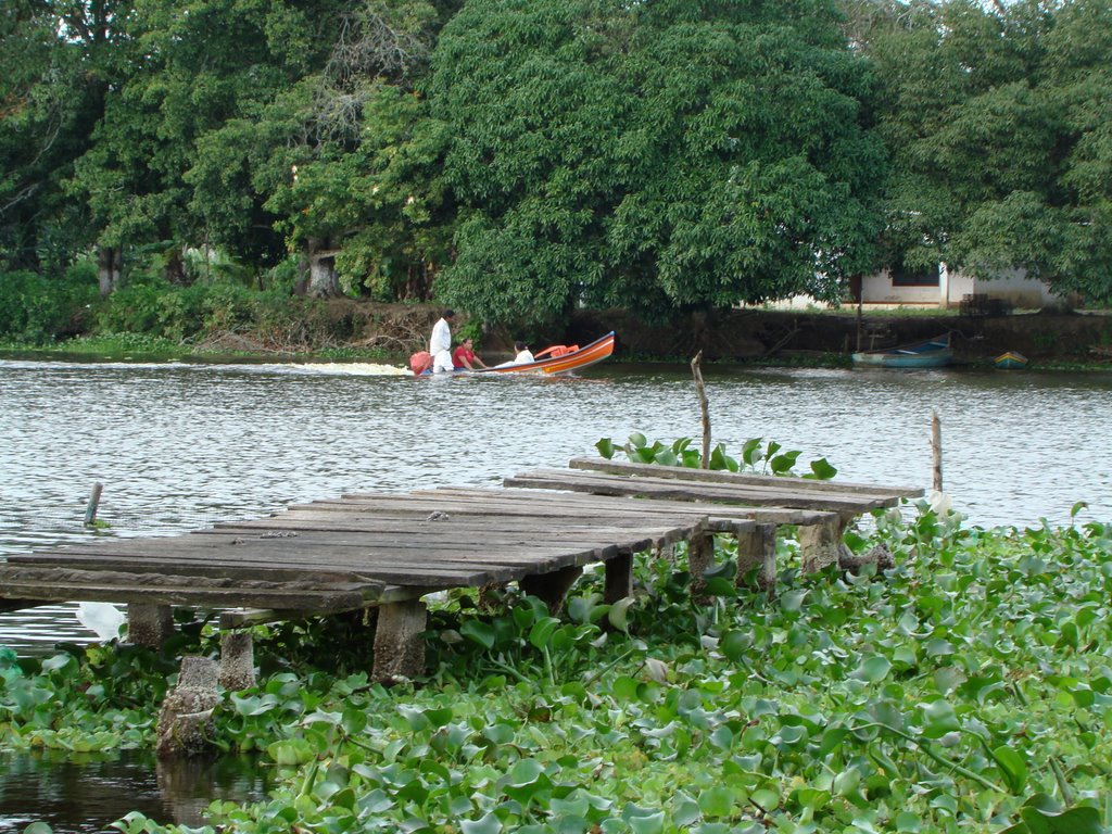 NotiGrillo - Las Noticias Al momento: Acula Veracruz