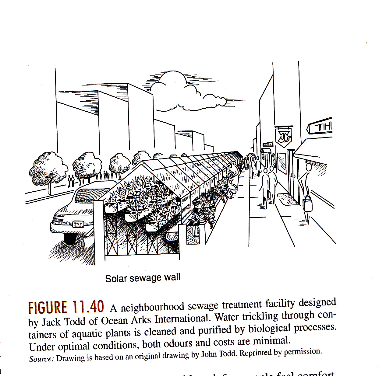dandelions and concrete: Biocentric Cities: constructed (sewage ...