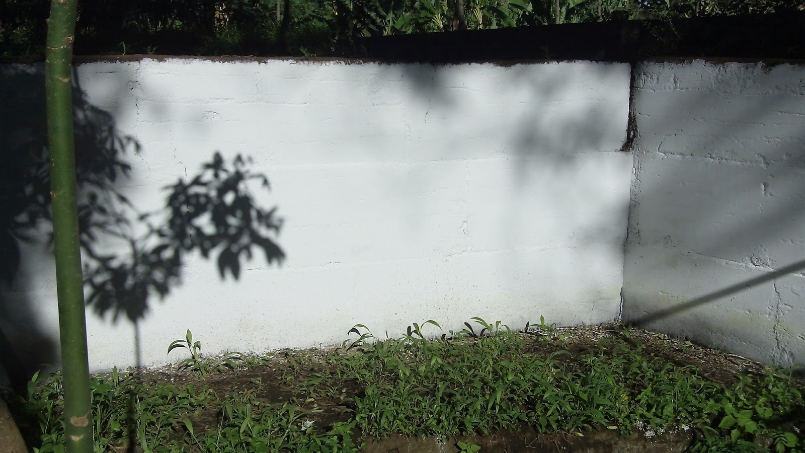 Alternative Building Construction : Lime white wash of rammed earth walls