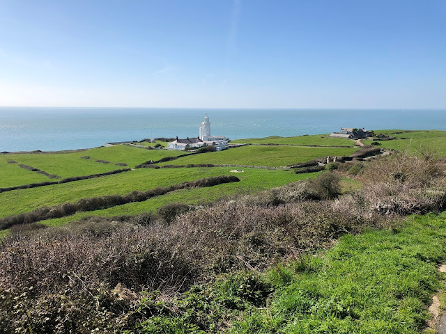 Great Spotted Cuckoo at Wheeler's Bay | Focusing on Wildlife