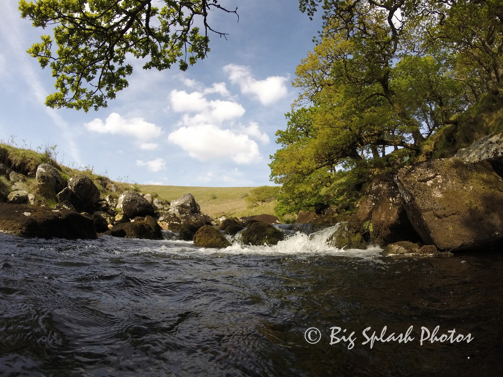 DevonSwimMap: River Erme (Piles Copse)