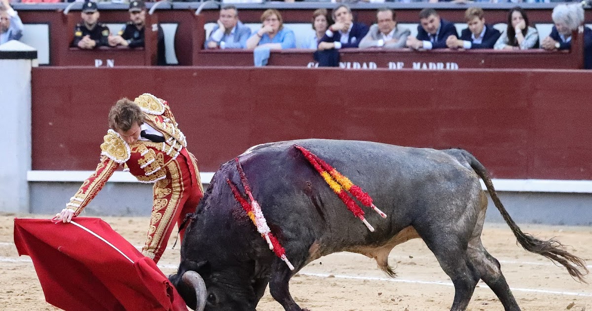 Toro, Torero y Afición: Sobre Román