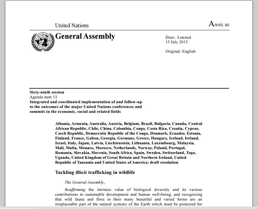 What the United Nations Really is: A Battlefield