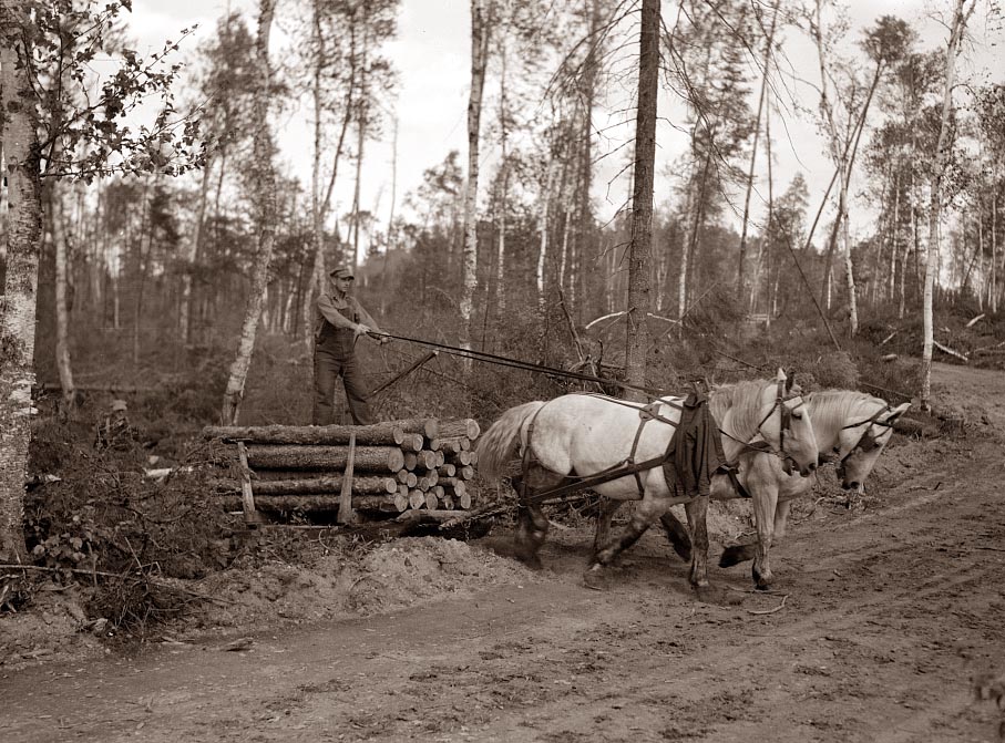 Hauling Logs