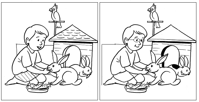 Serupa Tapi Tak Sama - Penyayang Binatang | Fazar Sandria