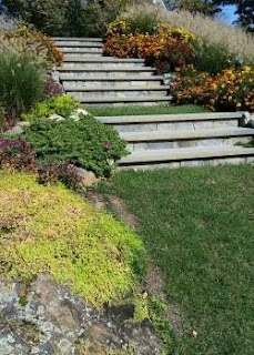 Learning from other Landscape Designers