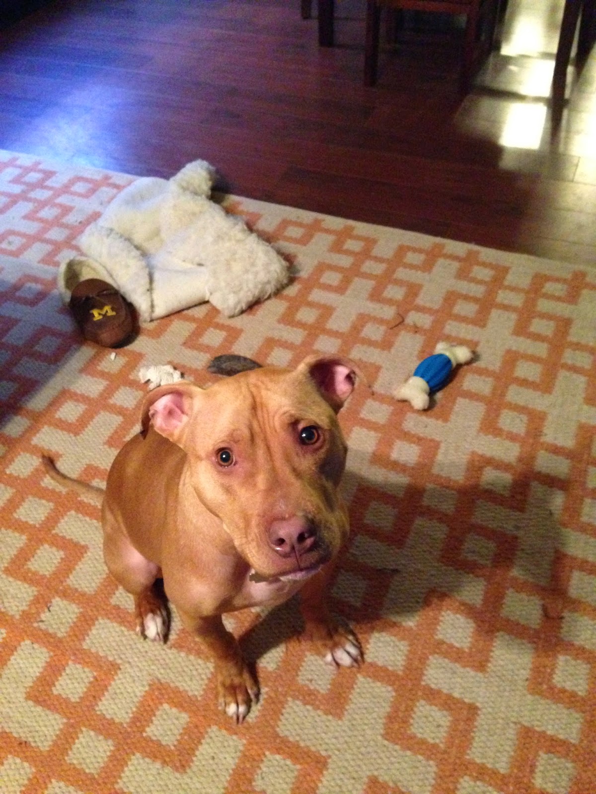 The Icky Stuff: Magic Solution | The Ruff Life