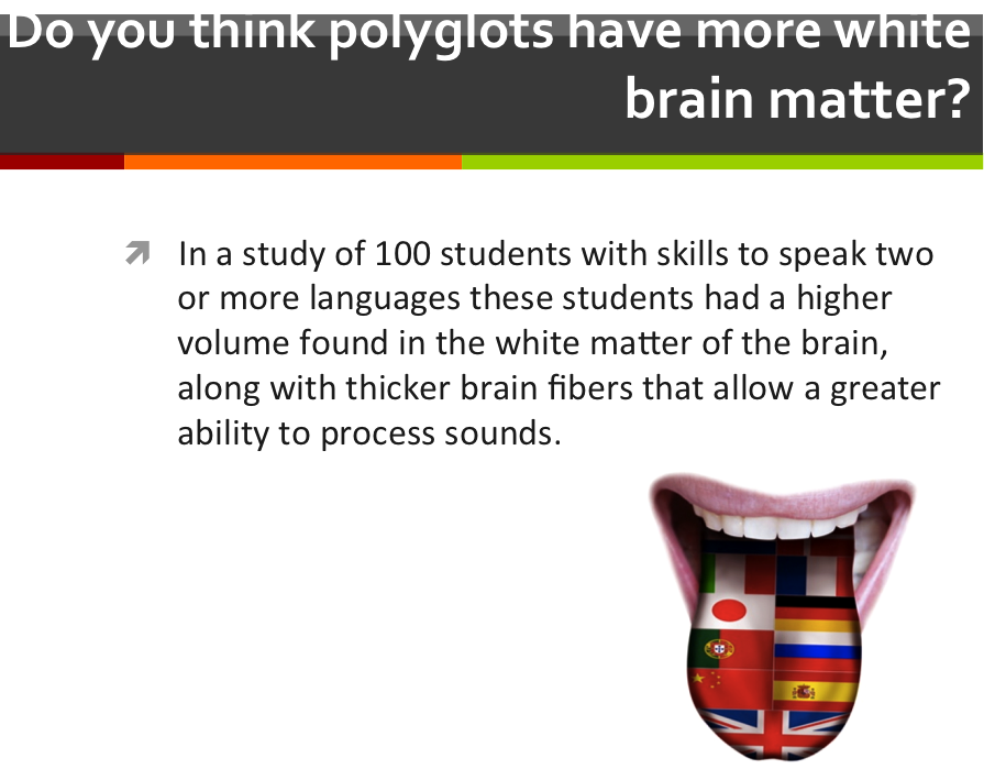 ENGLISH IV: Projects