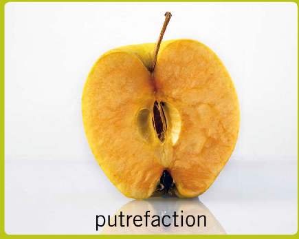 Mi primer año en Red XXI: CHANGES IN MATTER (Unit 6-Science Y5)