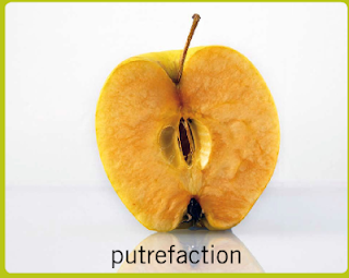 Mi primer año en Red XXI: CHANGES IN MATTER (Unit 6-Science Y5)