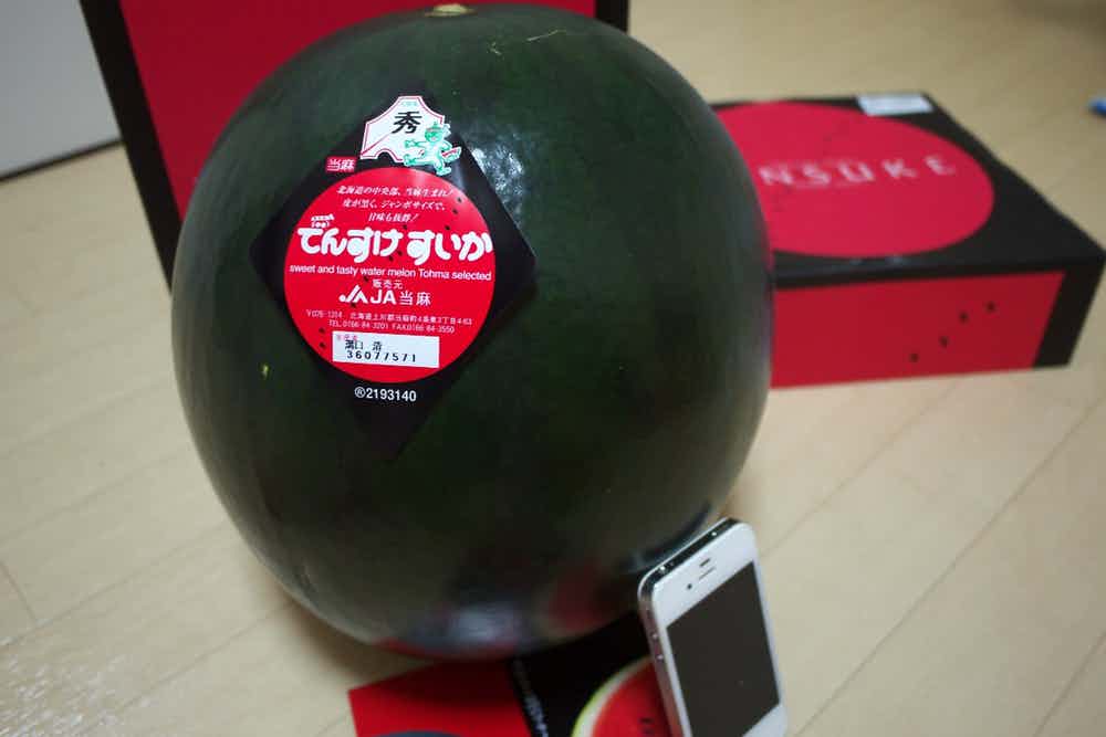 The Densuke Watermelon