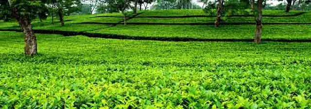 Dispur: The Amazing City of Assam