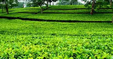 Dispur: The Amazing City of Assam