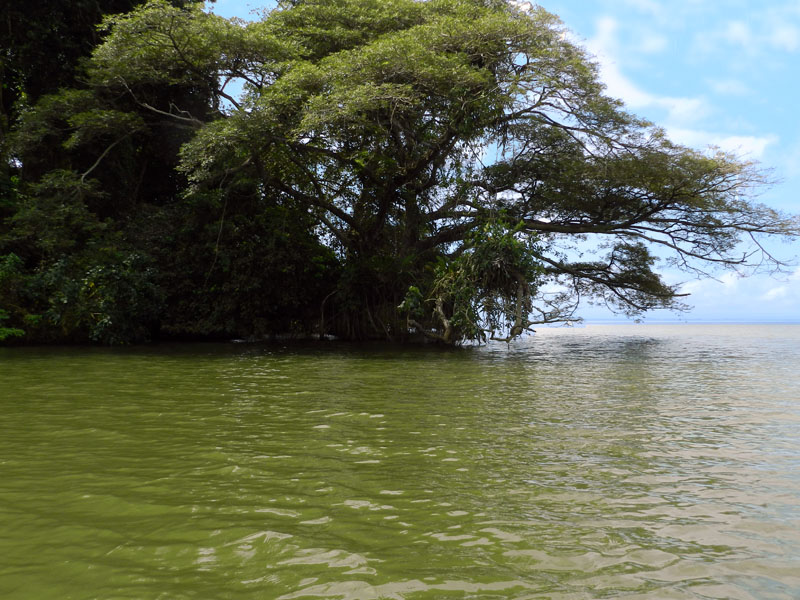 Get the road to Nicaragua: Archipel de Solentiname - Mancarrón