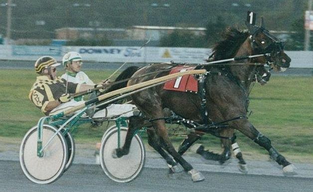 The FREDERICTON SCENE: The Greatest Horses ever developed at ...