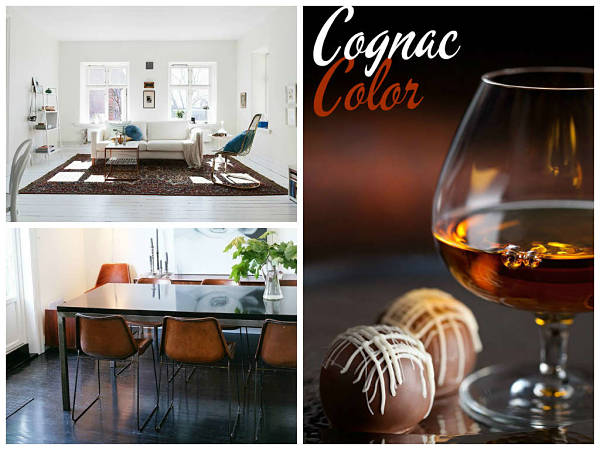 ES TENDENCIA: COLOR COGNAC -IT'S TREND: COLOR COGNAC | decoydiypruebas