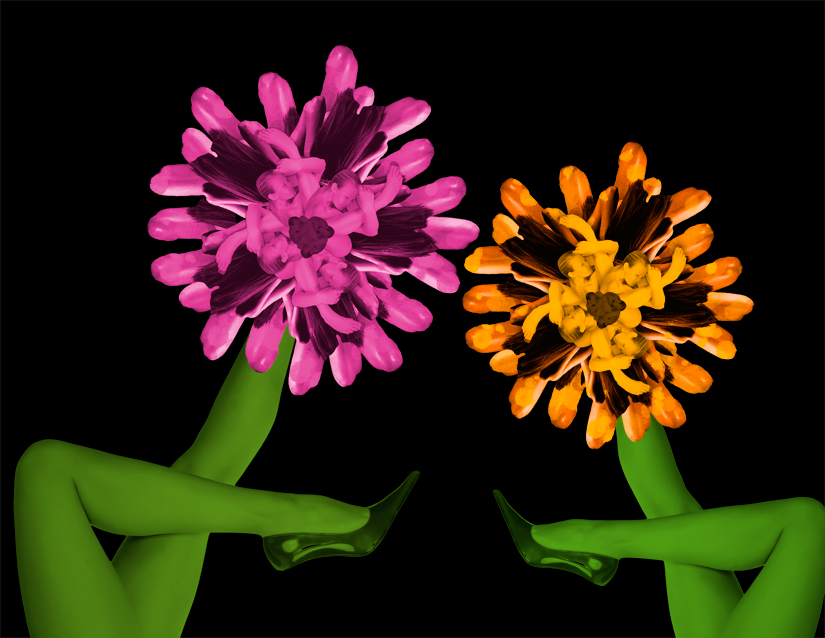 Pinzellades al món: Flors humanes: fotografies de Cecelia Webber ...