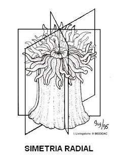 biologia- IFMS: Junho 2015