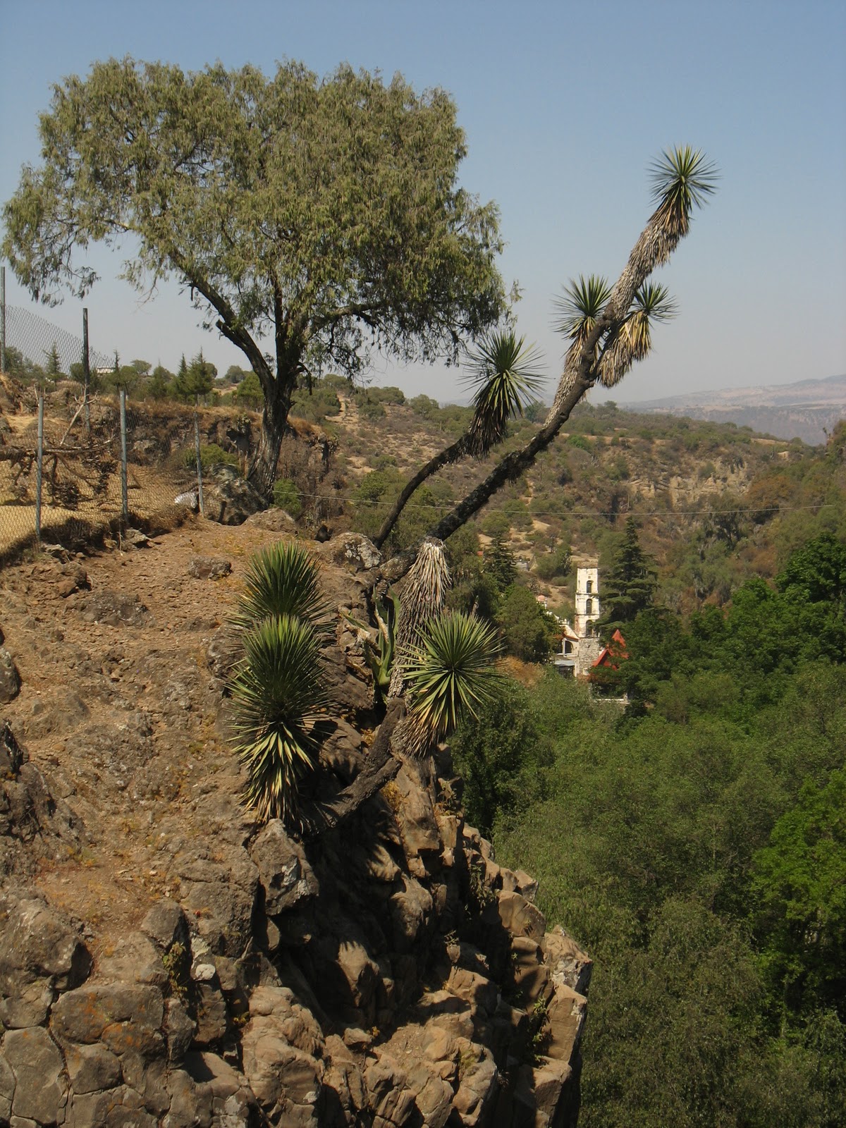 Exquisite Sorts: Basalt, Chicken, & More Pastes