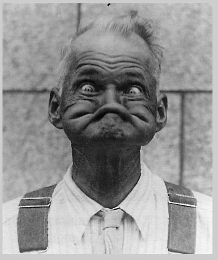 THIS DAZZLING TIME: New Ripley Bio Is a Curiosity