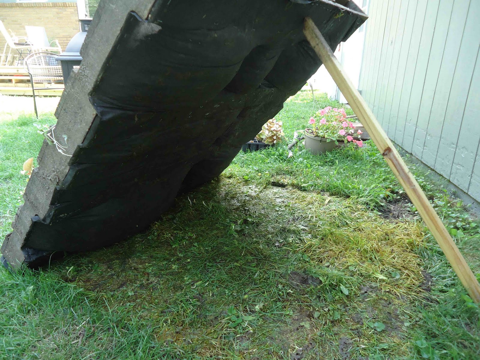 Domesticated Nomad: Pallet Garden Fail