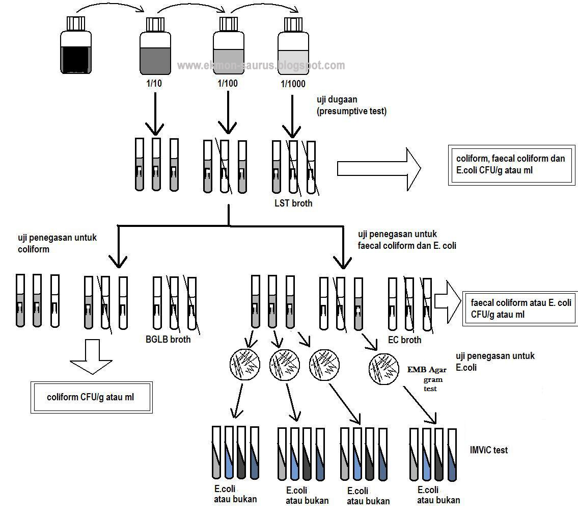 gado-gado interrnet: MPN coliform complete test