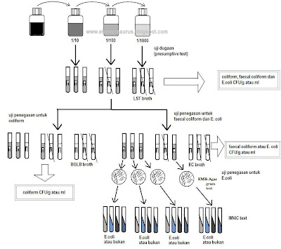 gado-gado interrnet: MPN coliform complete test