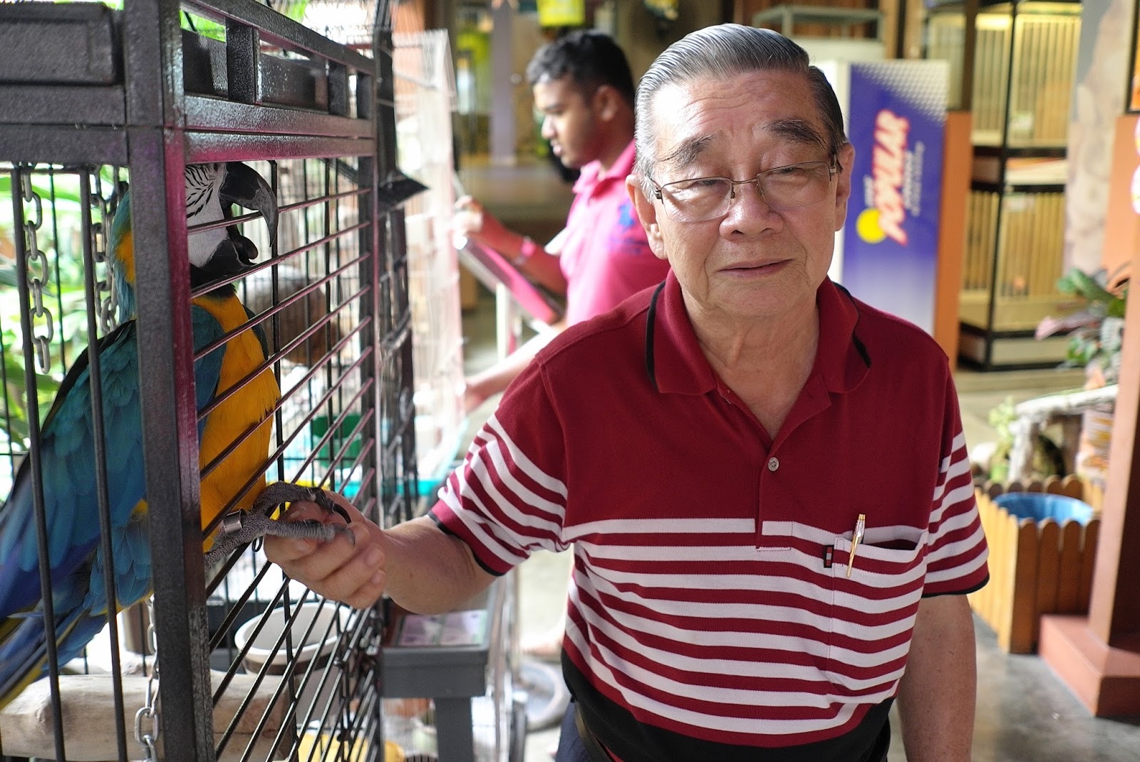 JE TunNel: One of Top 10 largest Pet Shops in the World!~ CHEW THEAN ...