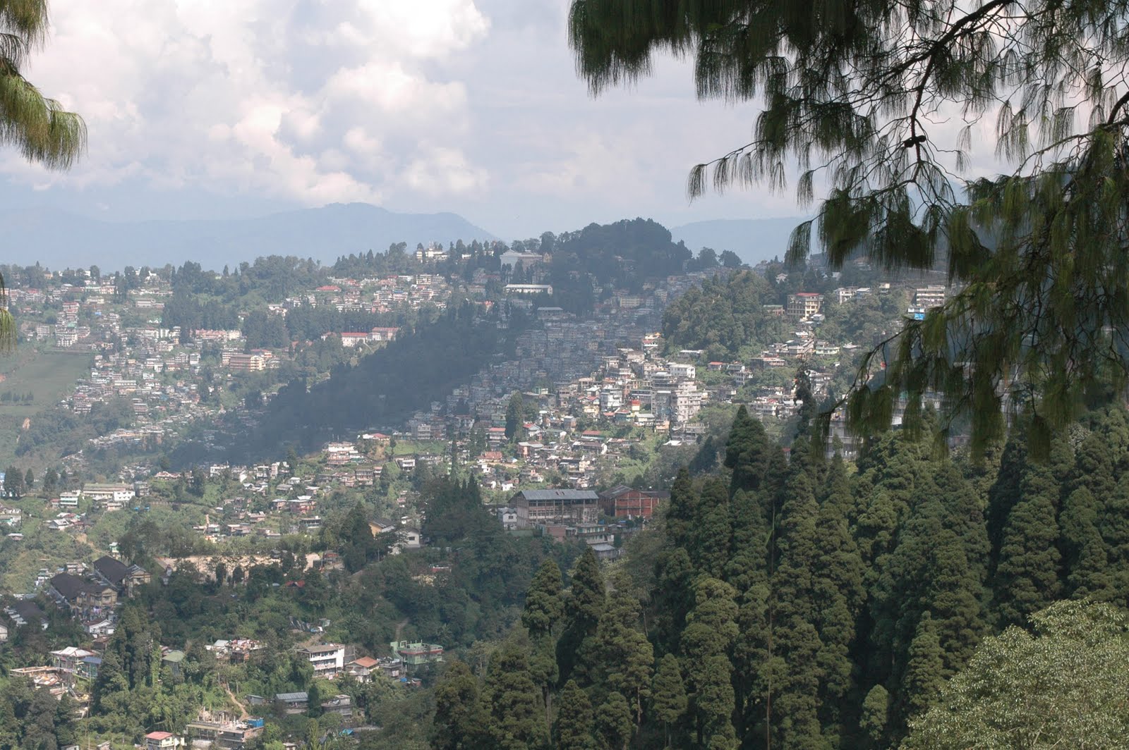 Darjeeling Information | Place to Visit in Darjeeling | Darjeeling Tourism
