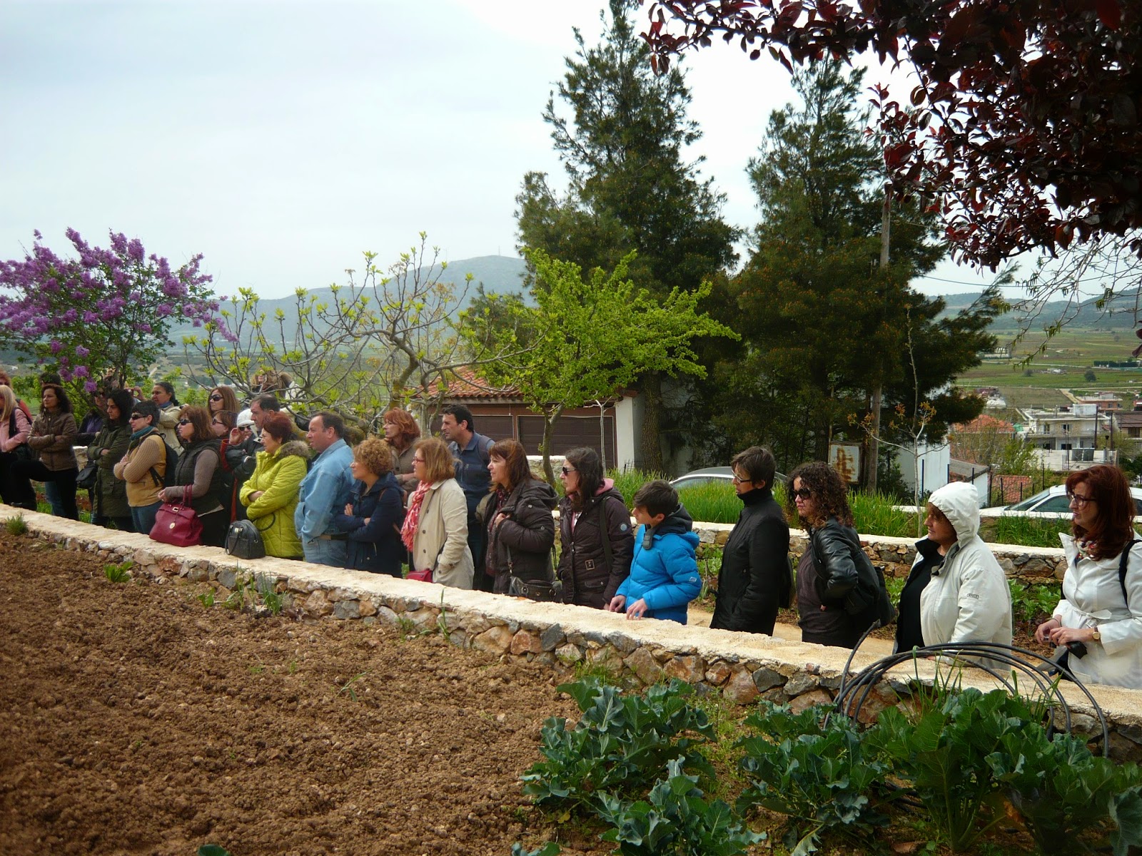 ΣΧΟΛΙΚΟΙ ΛΑΧΑΝΟΚΗΠΟΙ : ΟΙ ΚΗΠΟΙ ΤΩΝ ΣΧΟΛΕΙΩΝ ΤΗΣ Δ/ΣΗΣ Β/ΘΜΙΑΣ ΕΚΠ/ΣΗΣ ...