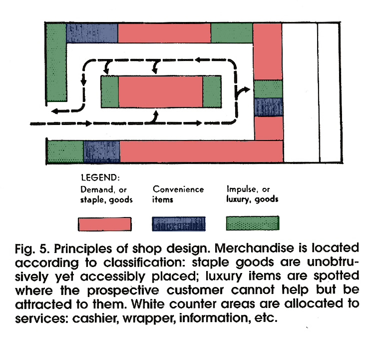 F Molina: Shop Design