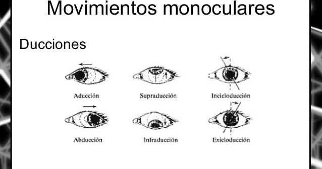 Test empleados en optometria : DUCCIONES Y VERSIONES
