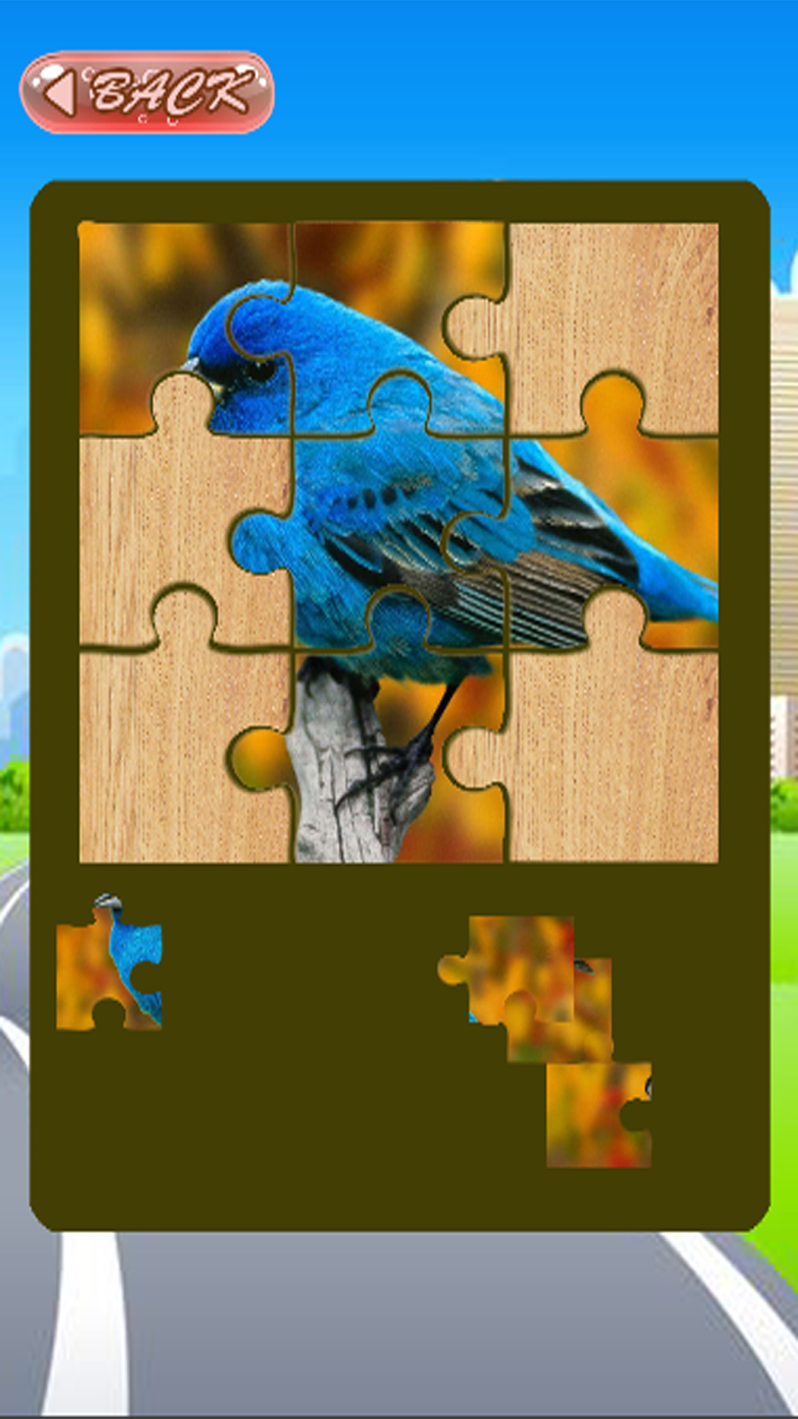 Puzzles Bird Games And Jigsaw For Kids Education