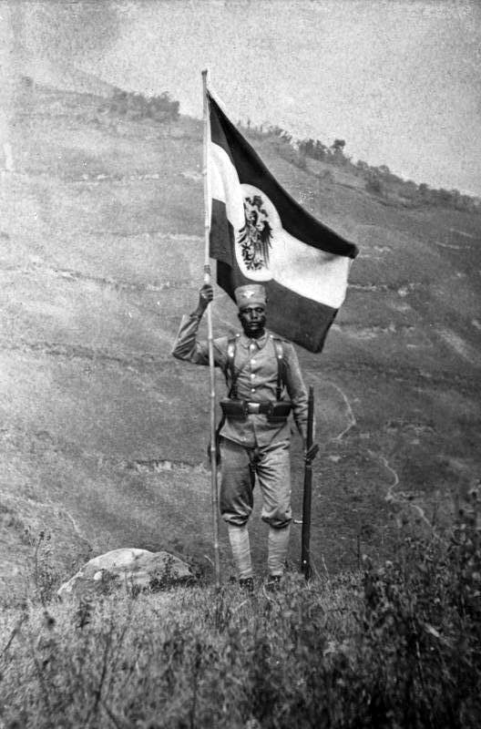 The Mad Monarchist: The Great War in German Africa