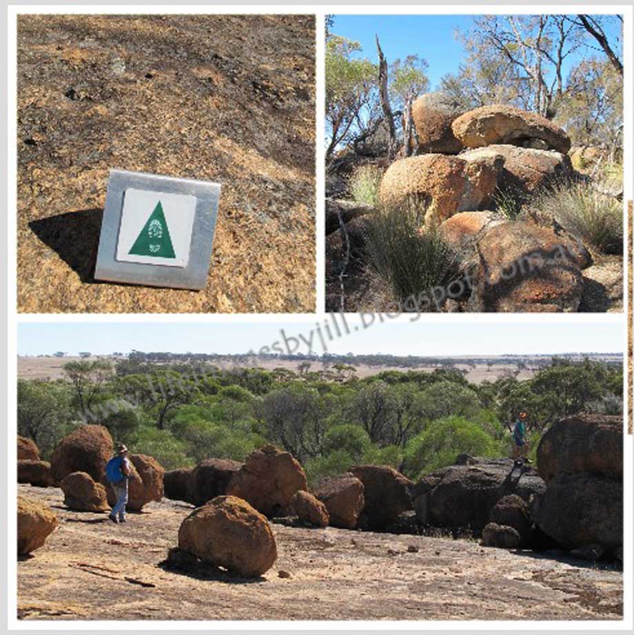 Life Images by Jill: Camping out in the Western Australian wheatbelt ...