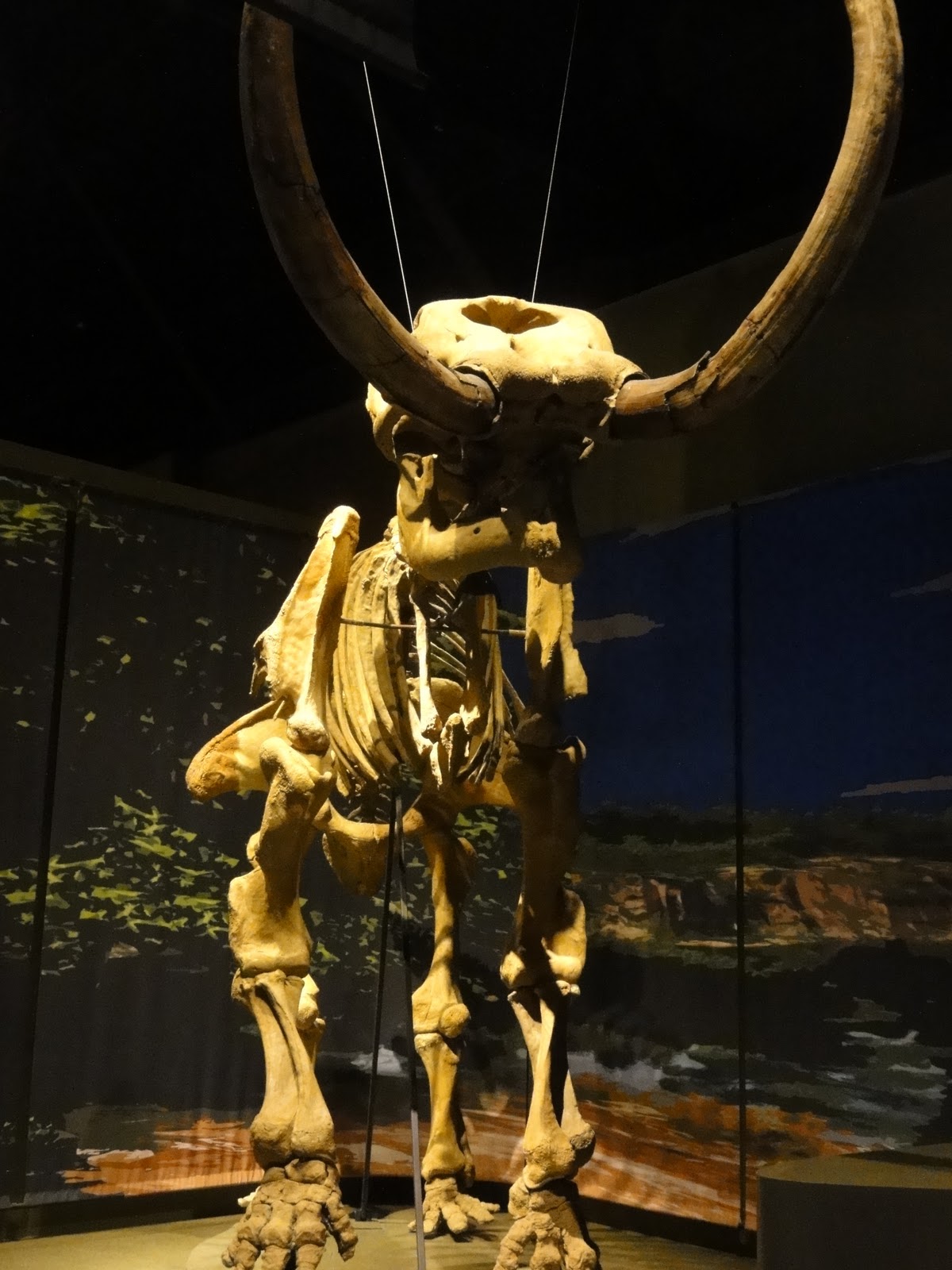 Daniel's Safari: Tellus: NW Georgia Science Museum - Cartersville, GA