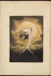 THE WHISTLING GIRL: From So Simple A Beginning...Endless Forms Most ...