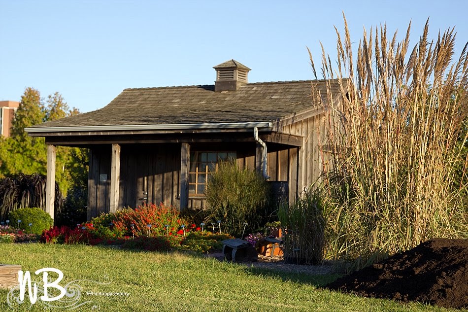 NB Photography: University of Illinois Arboretum