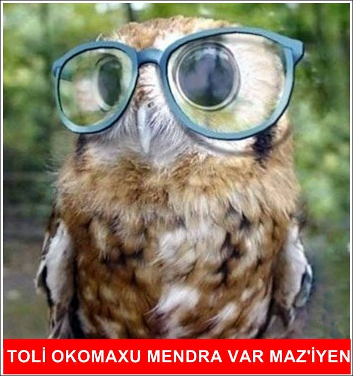 ARHAVİ ARKABİ HACİŞİ: Lazca