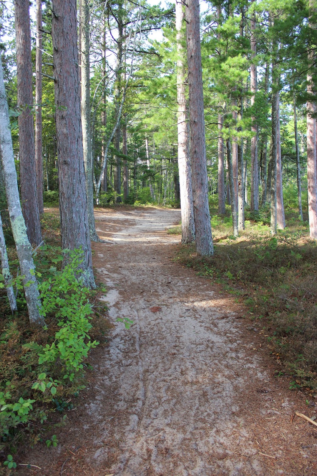 Come Along With Chong: Chapel Falls, Rock, and Beach at Pictured Rocks ...
