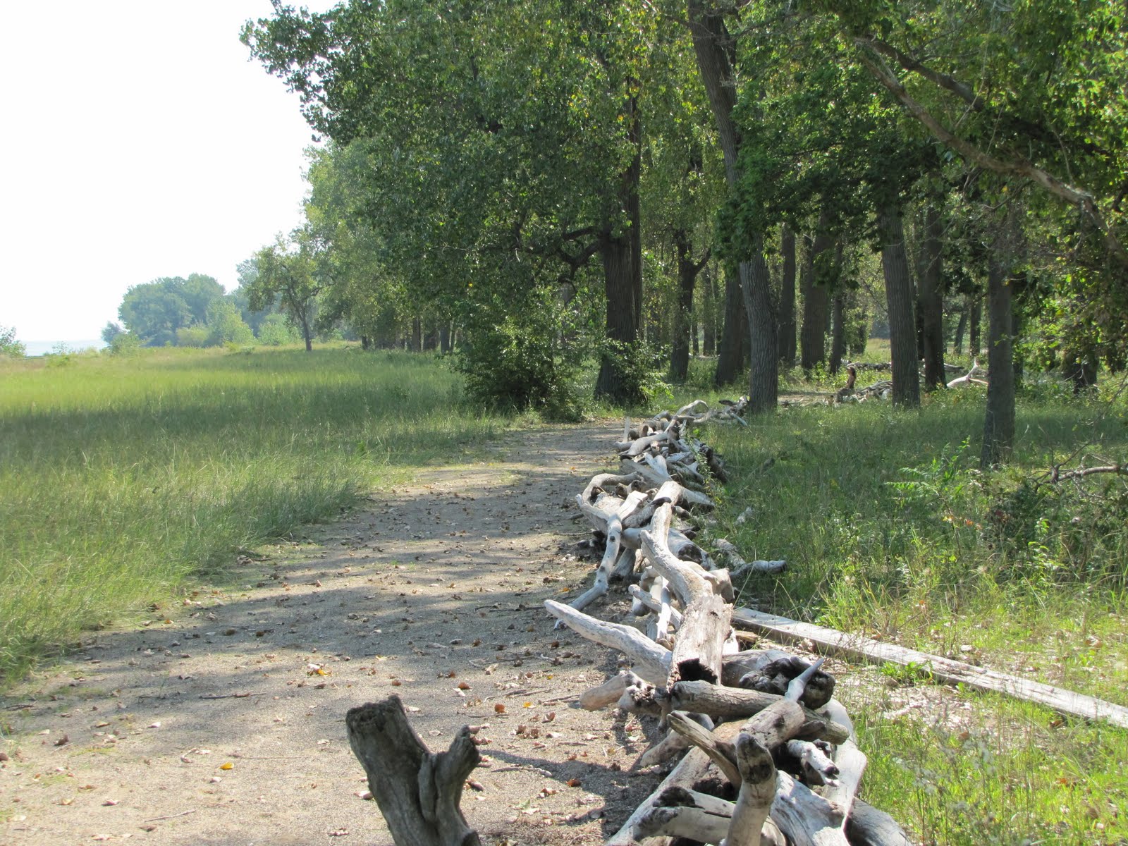 Flitzy Phoebie: Magee Marsh Wildlife Area - Ohio