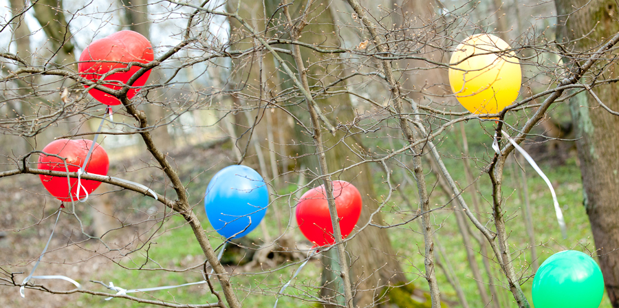 Kevadised pulmafotod-fotograaf Anno Proosvelt - Fotostuudio Fotopesa
