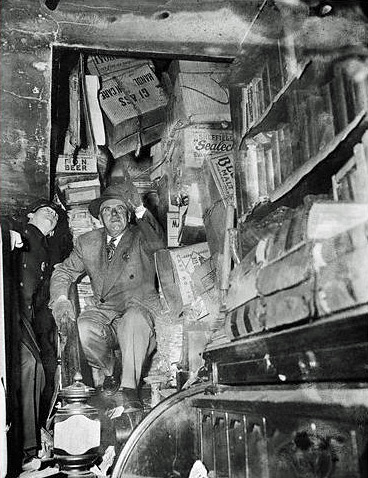 The Bell Curve of Life: The Fascinating Story of Collyer's Mansion