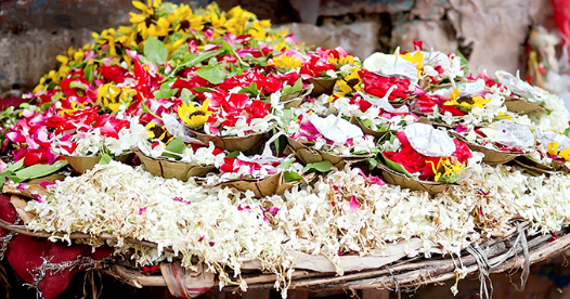 zhannadesign: Harnessing the Power of Vedic Rituals